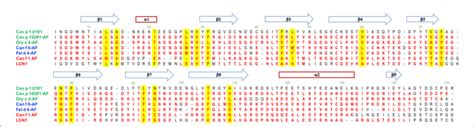 Figure Alignment Of Lipocalin Models With The Cav P P Structure