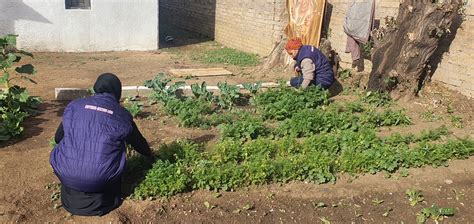 Women Agricultural Program Project Girl Global