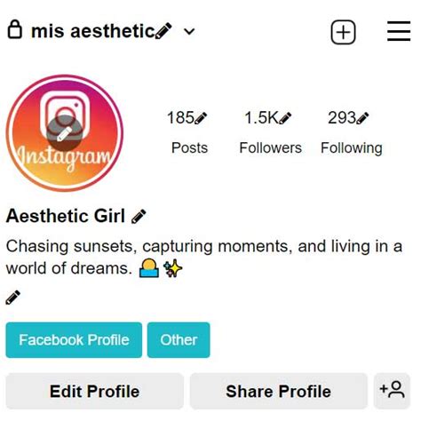 200 New Aesthetic Bio For Instagram Profile Copy Paste
