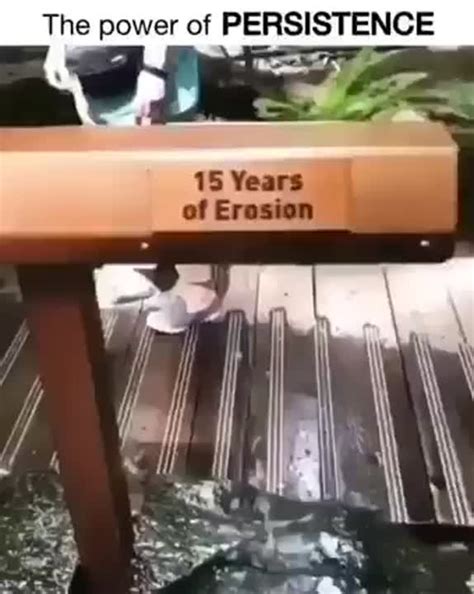 Sufian Zulfiqar On Linkedin Persistence Successmindset Growth