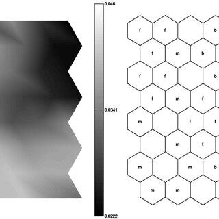 U Matrix Of The Size Corrected Measurements Download Scientific Diagram