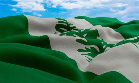 바람에 노퍽 섬 플래그 현실적이고 물결 모양의 직물 플래그 3d 렌더링 0명에 대한 스톡 사진 및 기타 이미지 0명 관광 교육 Istock