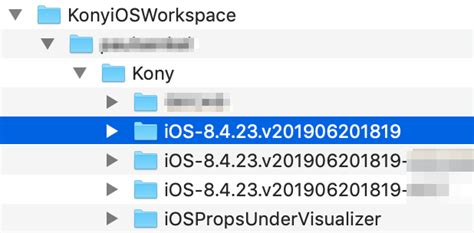 Step By Step Guide For Generating A Protected Ios Binary