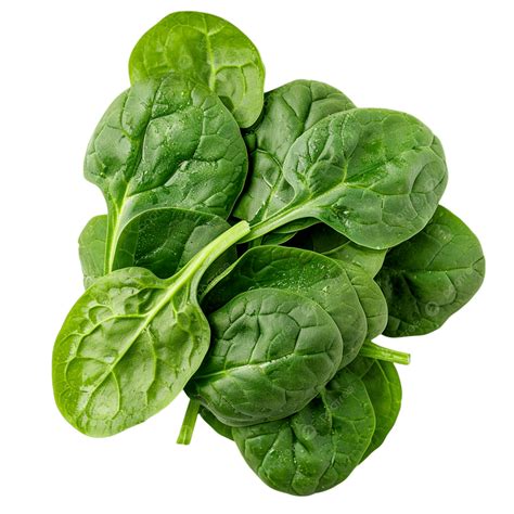 Farm Fresh Spinach Essential For Green Smoothies Spinach Fresh