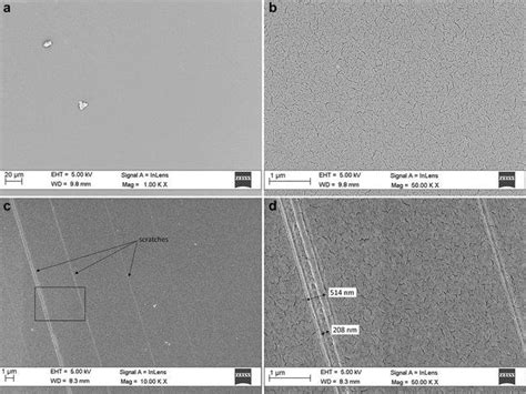 Sem Micrographs Of A And B The Untreated Polystyrene Surface C Download Scientific Diagram