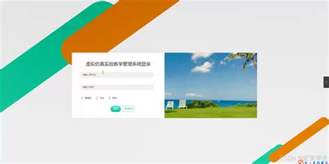 Java计算机毕业设计虚拟仿真实验教学管理系统（开题程序论文）虚拟仿真实验和论文管理 Csdn博客