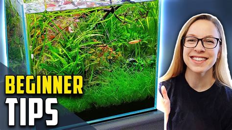 10 Easy Tricks To Making A Planted Tank Look Amazing Youtube