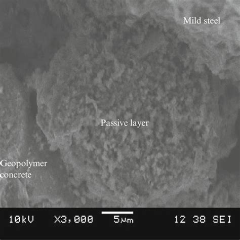 Sem Micrograph Of The Formation Of Passive Layer In Geopolymer Concrete Download Scientific