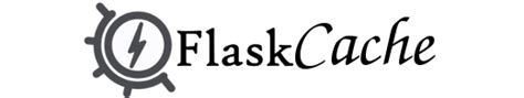 Api — Flask Caching 100 Documentation