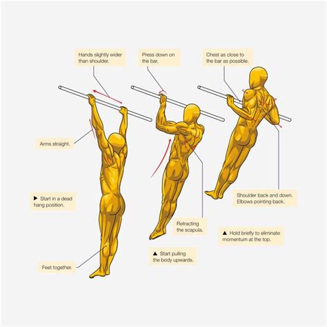 Complete Calisthenics Skills List Artofit