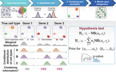 Directly Selecting Cell Type Marker Genes For Single Cell Clustering Analyses Cell Reports Methods