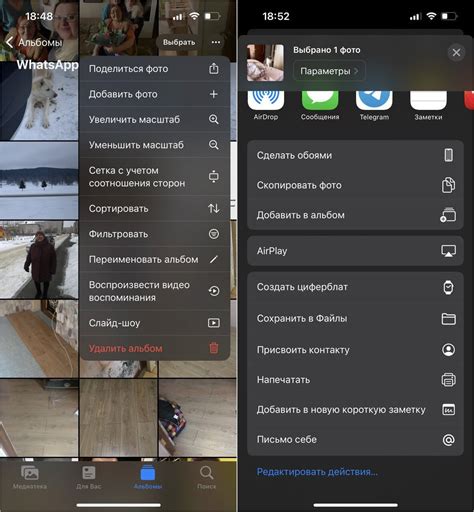Что нового в приложении Фото в Ios 16 и как им пользоваться