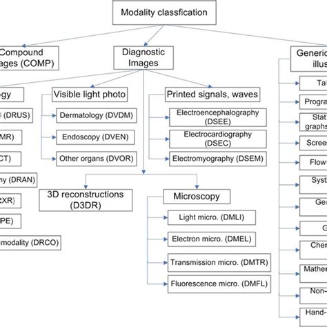 Modality Classes In The Biomedical Literature 27 Download
