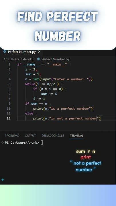 Find Perfect Number In Python Python Programming Coding Shorts