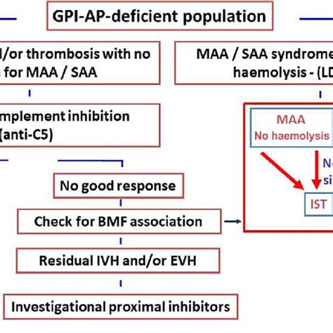 Treatment Algorithm A Tentative Treatment Algorithm Of Pnh Based On