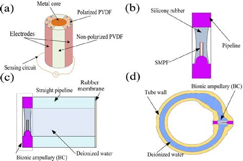 Figure 1 From Development Of Bionic Semicircular Canals And The Sensation Of Angular