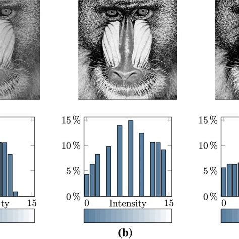 An Example Of Histogram Equalization On A A 4 Bit Image Using B A