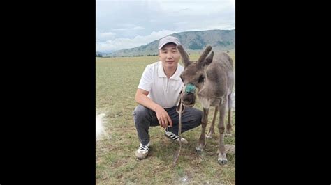 Хүүдээ хүндэтгэл баярын бэлэг мэндчилгээ 🎁🫶🤙 8610 2020 🤙🫶🎁 Youtube