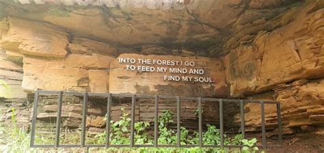 Graskop Gorge Lift Company 2020 All You Need To Know Before You Go With Photos Tripadvisor