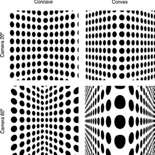 Example Images Of A Concave And A Convex Surface That Were Rendered Download Scientific Diagram