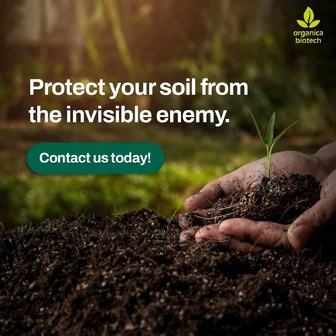 Powder Nematicide For Nematode Control Packaging Type Packet At ₹ 787