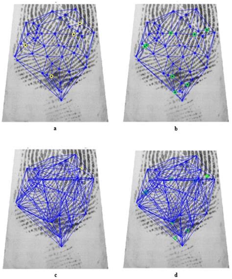 Figure 5 From A Comparison Of 2d And 3d Delaunay Triangulations For Fingerprint Authentication