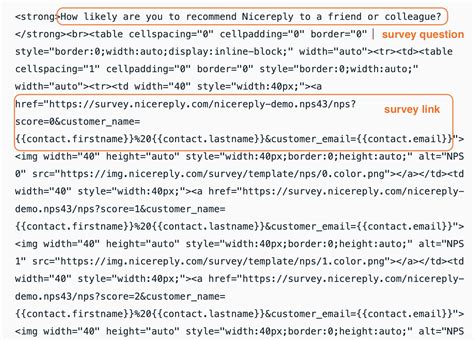 Setting Up An HTML Embed Code For Survey Nicereply Help Center