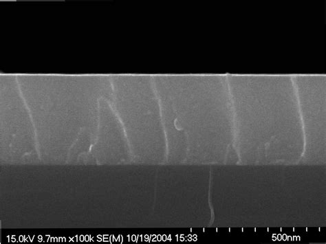SEM Cross Section Of The Unexposed Sample Download Scientific Diagram