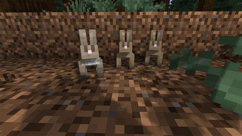 Minecraft 1 19 How To Breed Rabbits