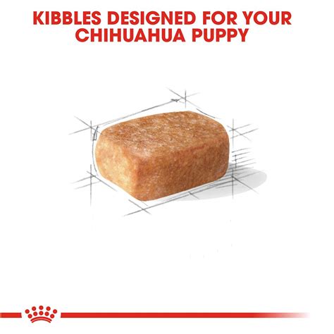 Chihuahua Puppy Dry Dog Food Royal Canin Us