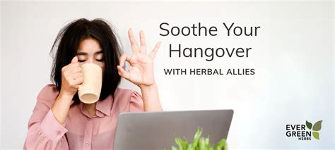 Natural Hangover Remedies Soothe Your Symptoms With Herbal Allies