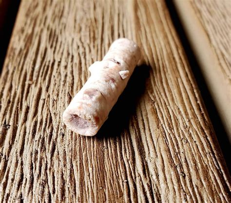 I Found A Box Full Of Fossils At A Thrift Store In Austin Texas There