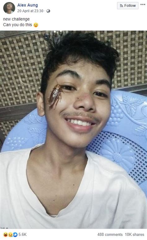 Cockroach Challenge Is Now A Thing And We Cant Understand Why