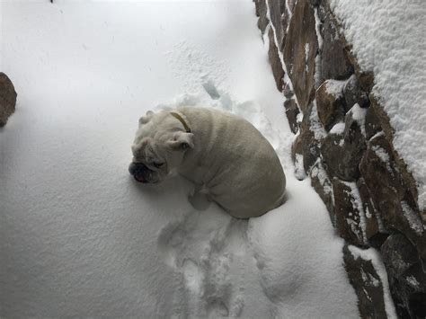 Systems Design Notes Aws S3 Following My Previous Post On Dynamodb