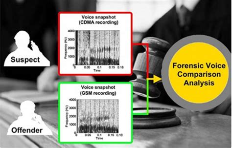 Forensic Electronics And Computer Sciences