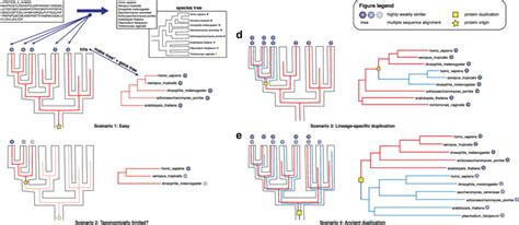 Outline Of The Initial Analysis Steps And Their Results In The Case Of