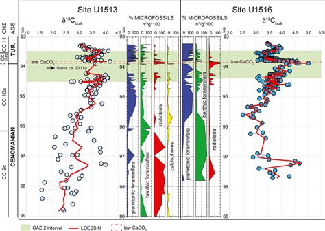 Correlation Of The Microfossil Abundances And δ¹³c Record Between Sites