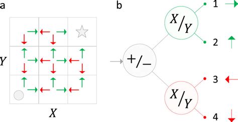 generalization in gridworld t ps can exploit symmetries in a task