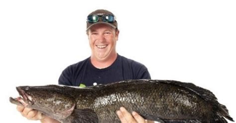 8kg 초대형 가물치 화제 별명이 뱀머리 징그러워