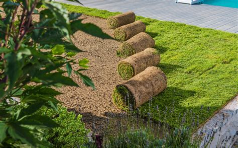 Akers Of Lawn How To Install A New Lawn