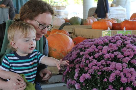 Eli Mom Mums Adventures With Eli