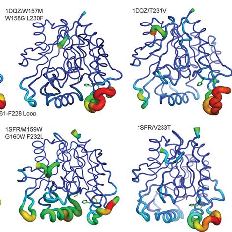 Pdf The Three Mycobacterium Tuberculosis Antigen 85 Isoforms Have