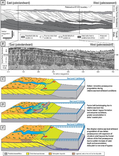 A B Examples Of Cross Sections Oriented Approximately Parallel The