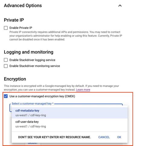 encrypt data fusion data and metadata using customer managed encryption