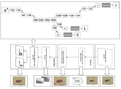 The Joint Detection Segmentation Procedure Flow With The Schematic