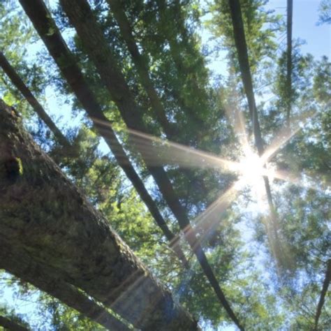 Usa Epa Msw Municipal Solid Waste Data 1960 2018 Kaggle