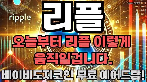 오늘부터 리플 이렇게 움직일겁니다 Youtube