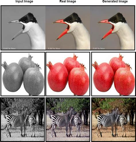 Images Generated By The Proposed Algorithm The First Column Indicates