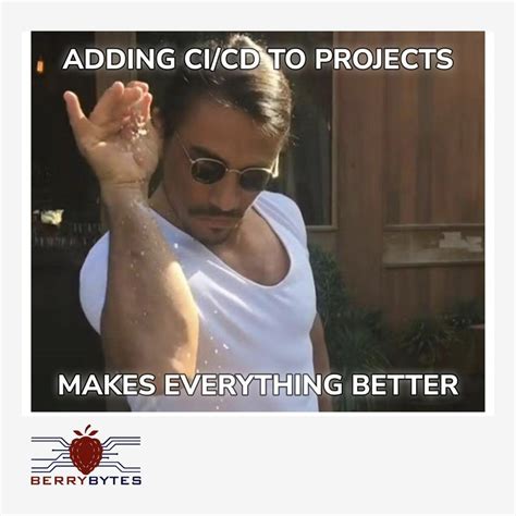 berrybytes ci cd is one of the best practices for devops