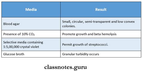Streptococcus Class Notes